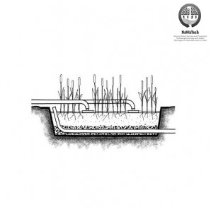 Vertical Flow Constructed Wetland (VFCW) | SSWM - Find tools for sustainable sanitation and ...